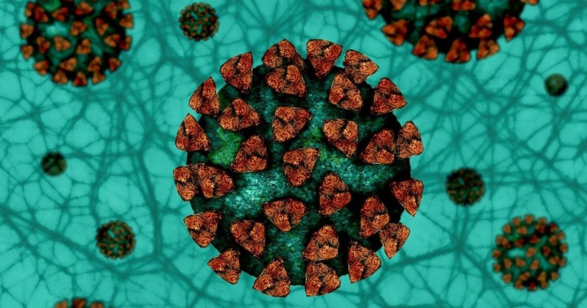 How Well Are We Protected Six Months After Infection Or Vaccination