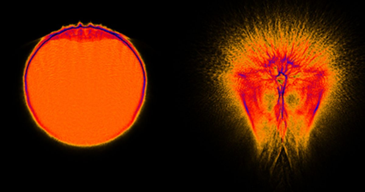Der schnellste Code der Laser-Plasmaphysik - Helmholtz Home