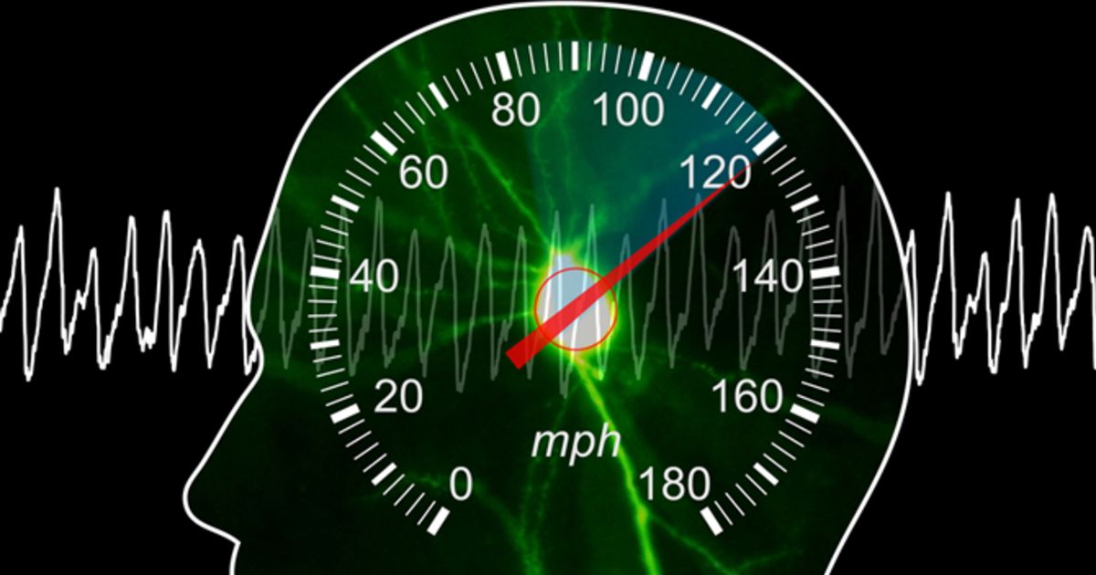 Speedometer discovered in the human brain - Helmholtz - Association of ...